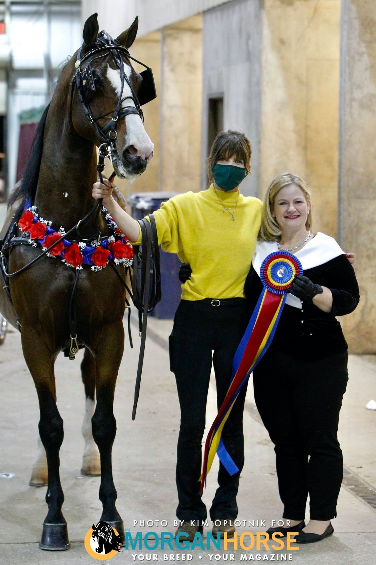 News | Ledyard Farms